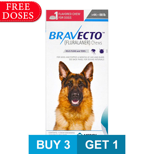 Bravecto for Dogs: Buy Bravecto Flea Chews for Dogs Online at Cheap Price