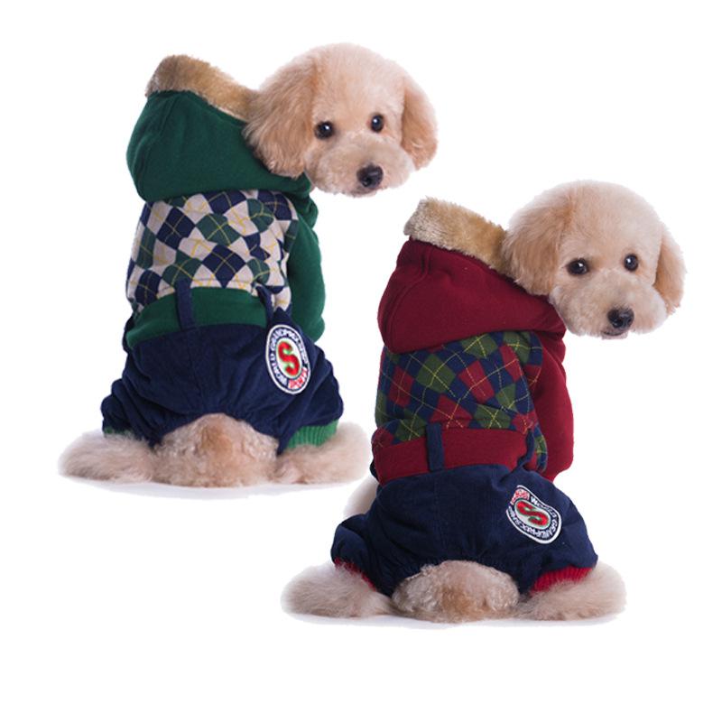 Tips to Keep Your Pet Safe and Secured in the Winter Season