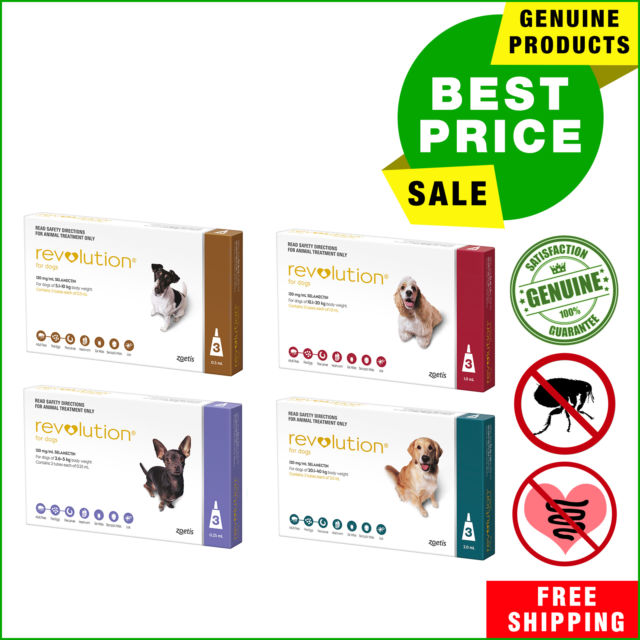 Why Should I Use Revolution? - BudgetVetCare