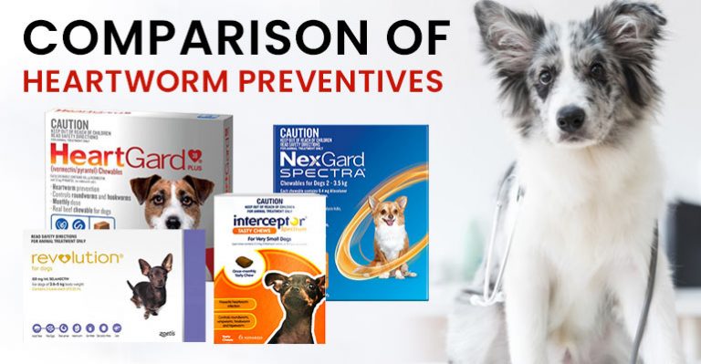 Heartworm Preventives - A comparison Chart - Budgetvetcare