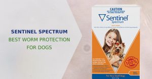 Sentinel Spectrum: Multipurpose Deworming Chewable tablets for dogs