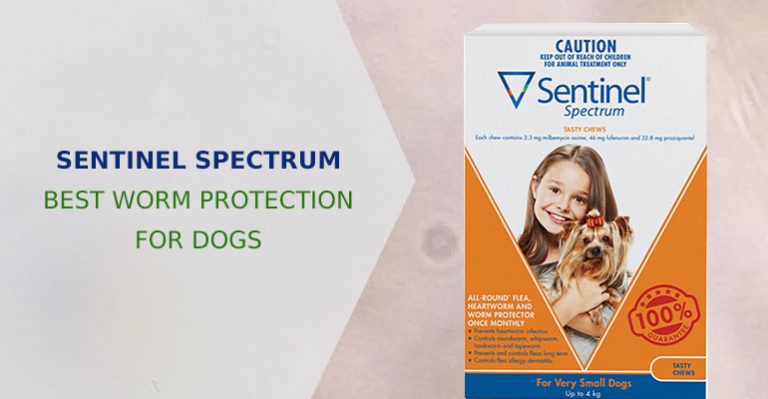 Sentinel Spectrum: Multipurpose Deworming Chewable tablets for dogs
