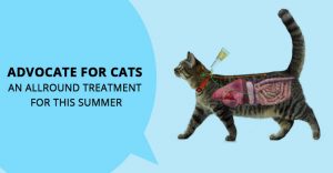 Advocate for Cats: An All-round Flea & Tick and Worming Treatment