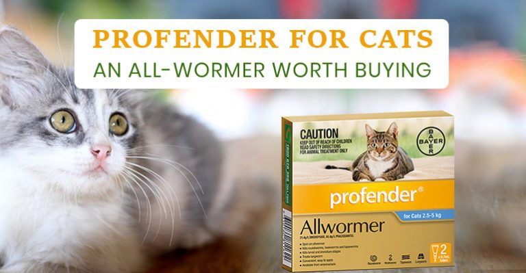 profender worm treatment for cats Archives - BudgetVetCare Blog