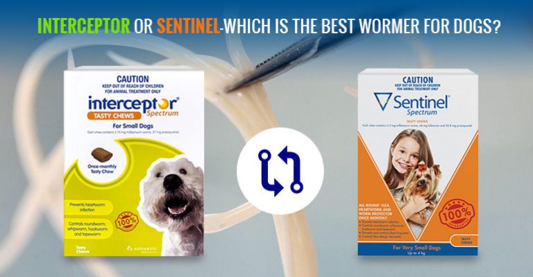 Interceptor or Sentinel? Which is the complete spectrum protection?