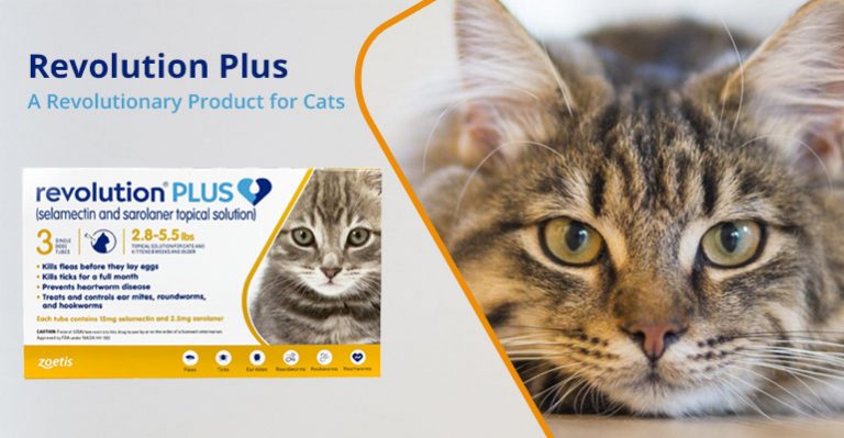 Revolution Plus: The Extra Plus to Revolution for Cats | BudgetVetCare