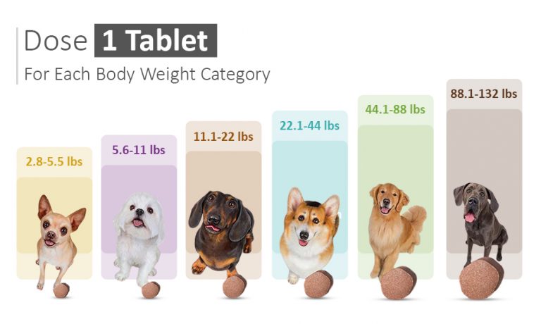 Simparica Trio- All Together Treatment For Dogs