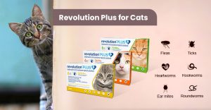 Revolution Plus for Cats
