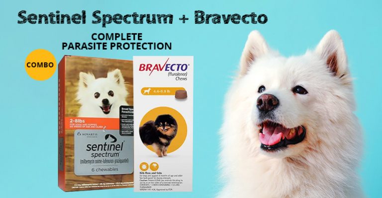 Bravecto and Sentinel Spectrum Combo for Dogs - BudgetVetCare Blog