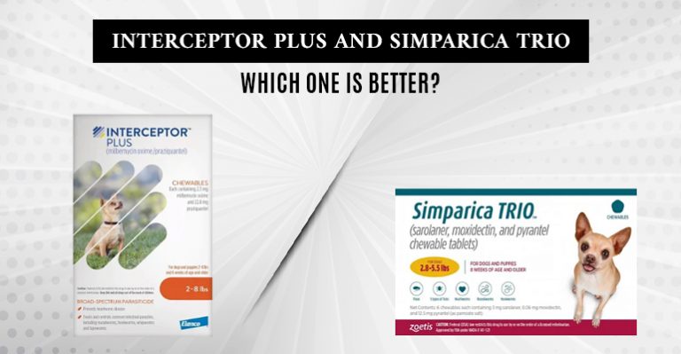 Interceptor Plus and Simparica Trio – Which One is Better ...