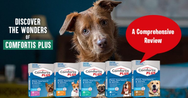 Discover the Wonders of Comfortis Plus: A Comprehensive Review ...