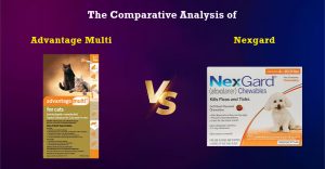 The Comparative Analysis of Advantage Multi & Nexgard - BudgetVetCare Blog