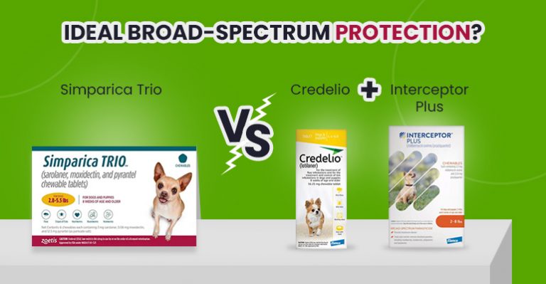 Simparica Trio vs. Credelio and Interceptor Plus: Ideal Broad-Spectrum Protection ...