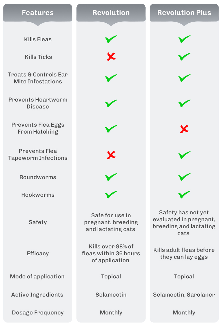 Revolution or Revolution Plus – What to Choose for Your Cat ...