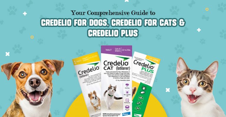 Your Comprehensive Guide to Credelio for Dogs, Credelio for Cats ...