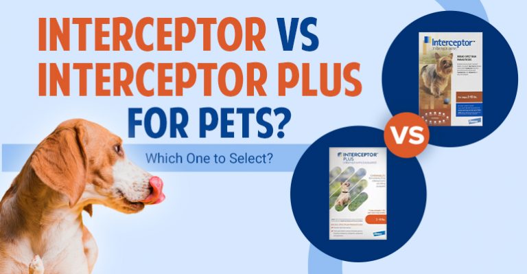 Interceptor or Interceptor Plus for Pets? Which One to Select?