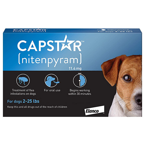 Capstar For Dogs : Buy Capstar Flea Treatment For Dogs Online