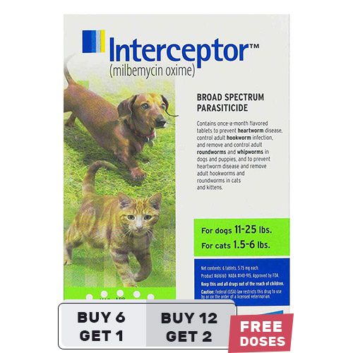 Interceptor for Dogs: Buy Interceptor Spectrum Heartworm Chew for Dog