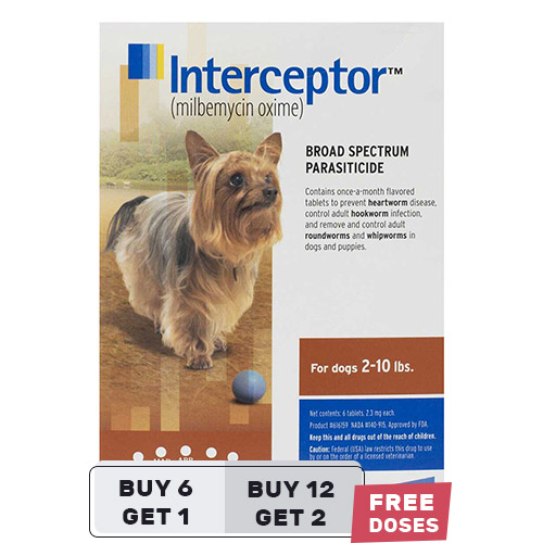 Interceptor for Dogs: Buy Interceptor Spectrum Heartworm Chew for Dog