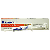 Panacur Paste Wormer For Dogs