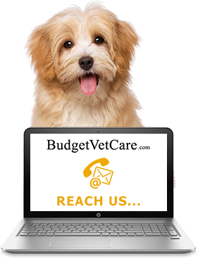 Contact Us : Online Pet Supplies Store - BudgetVetCare